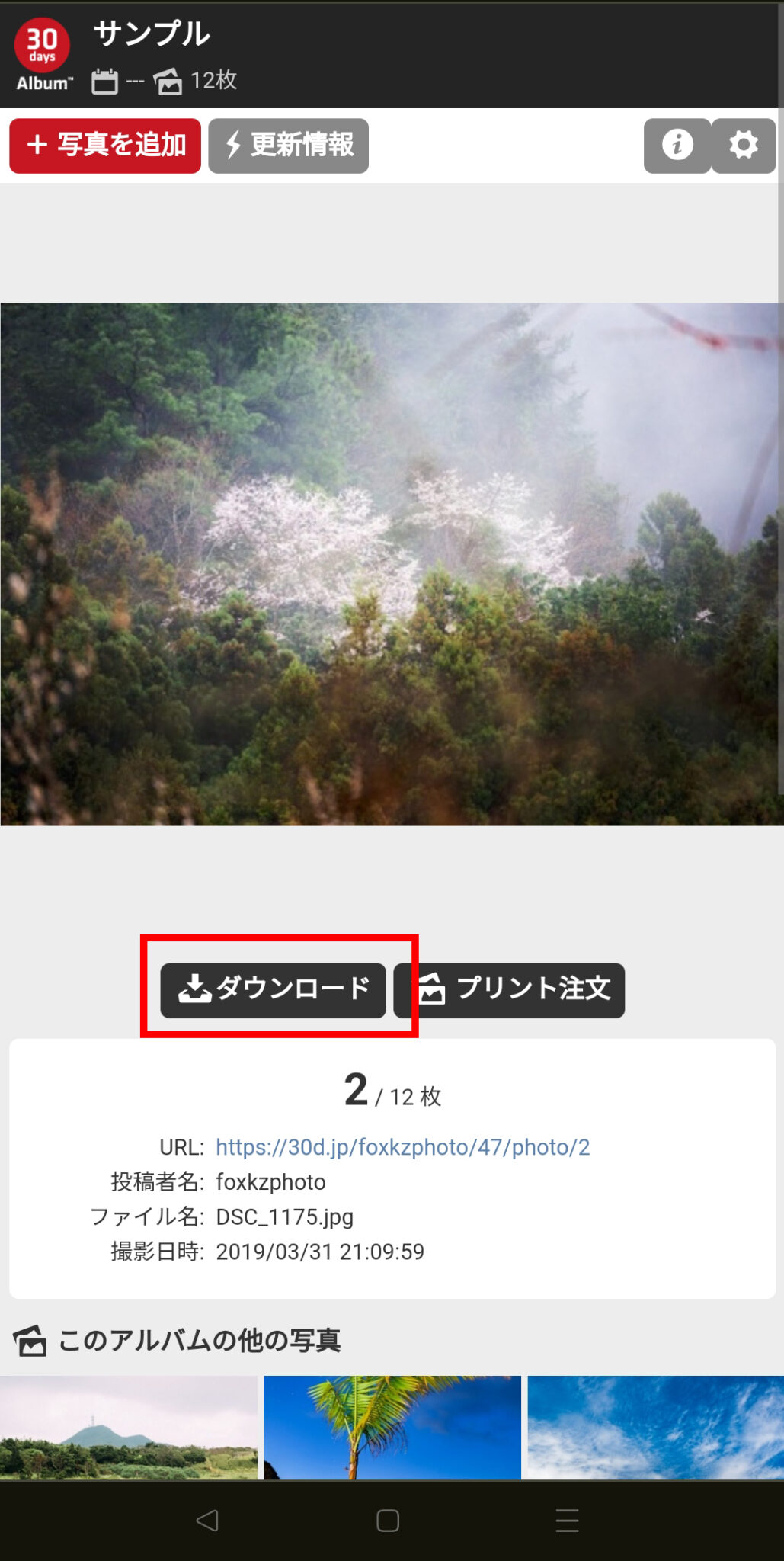 SUZURI Album写真ダウンロード方法
